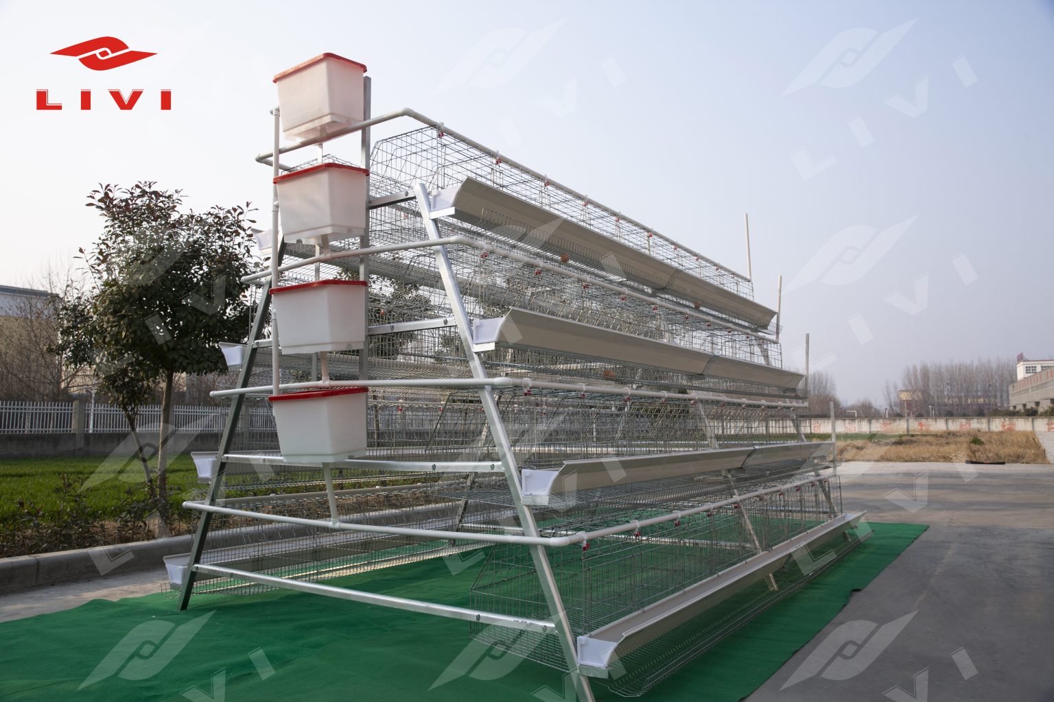 A Type And H Type Layer Chicken Cage System in Poultry Farming - livi