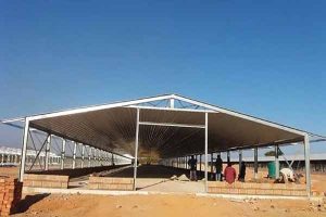 How To Build An Automatic Chicken Farm - livi